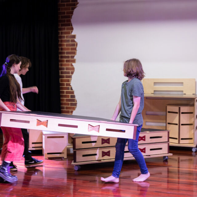 Stage Craft Platform - Crafted Wood